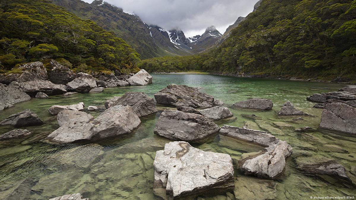 Woman saved after month in New Zealand hills – DW – 08/25/2016
