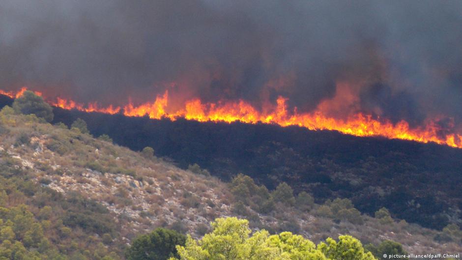 Hundreds flee wildfire on Spain's Costa Blanca