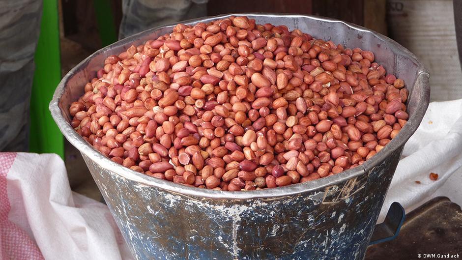 The end of major peanut harvests – DW – 09/12/2016