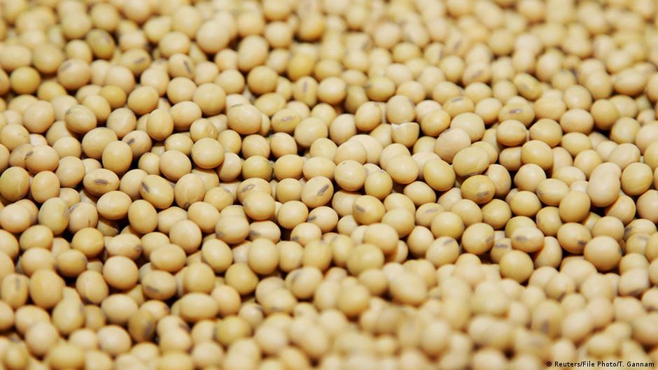 The problem with soy – DW – 10/14/2016