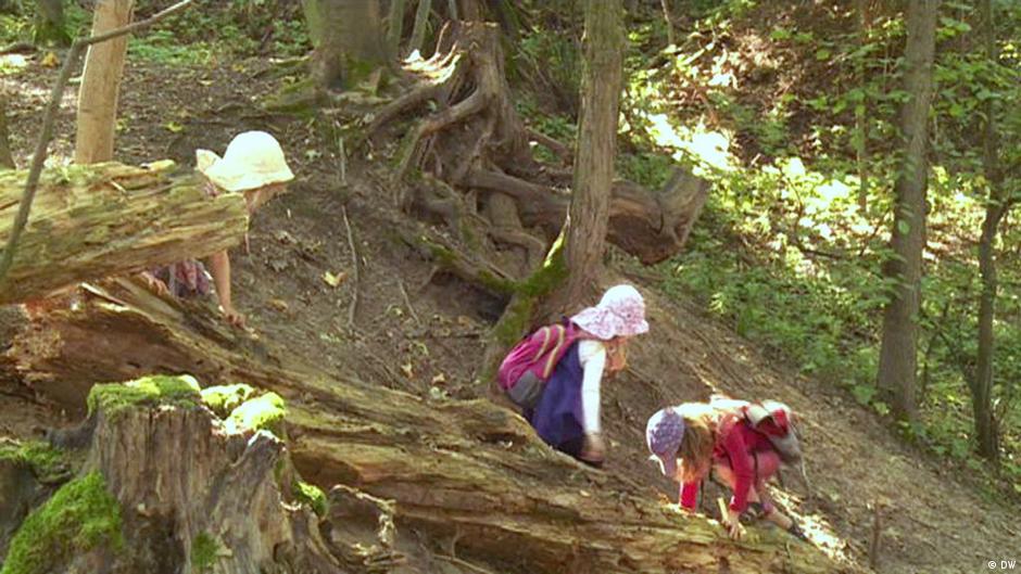 German outdoor preschool among the trees