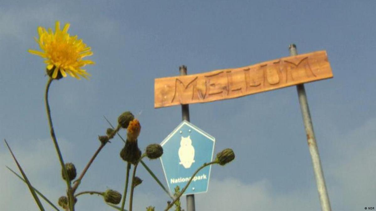 The island of Mellum