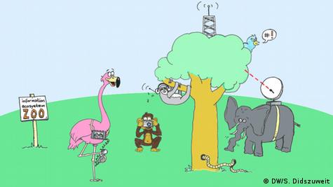 Rebranding media development