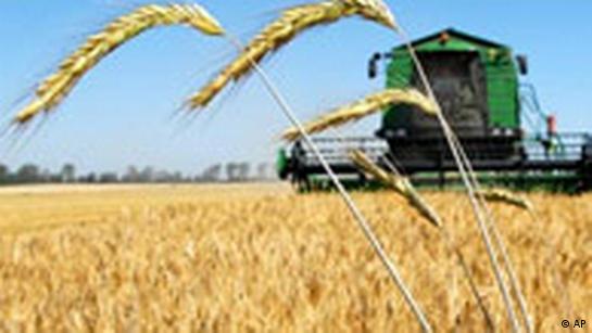 Agriculture in Germany – DW – 03/08/2010