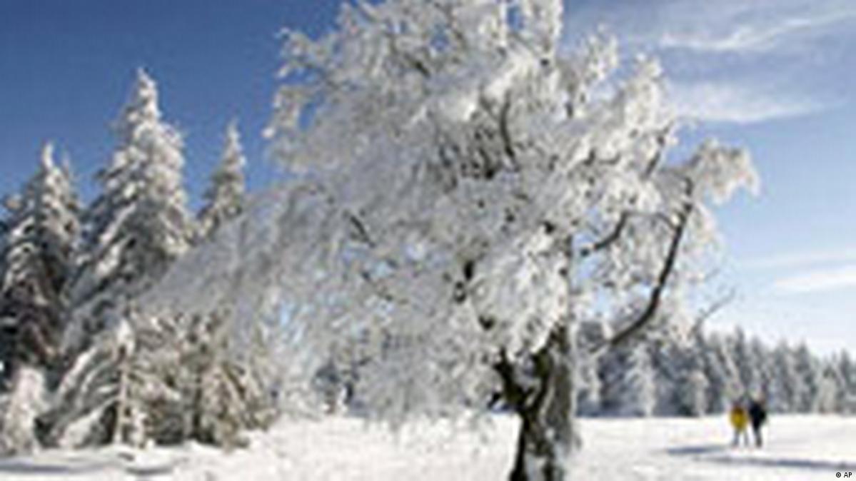 Multimedia Special: Surviving the Winter