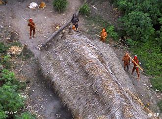 Hunted Hunters - The Awá indigenous people in the Brazilian rainforest ...