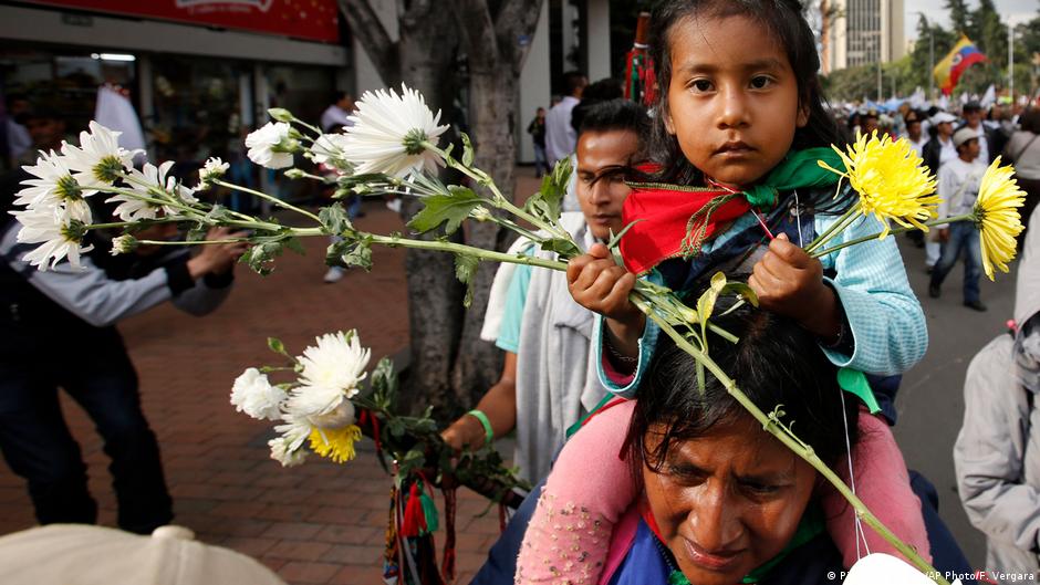 Protecting forests to fight climate change – DW – 12/05/2016