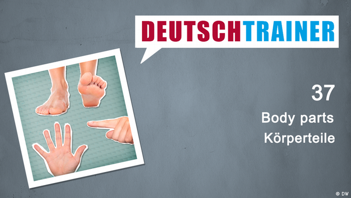 37 Body parts | Deutschtrainer | DW Learn German