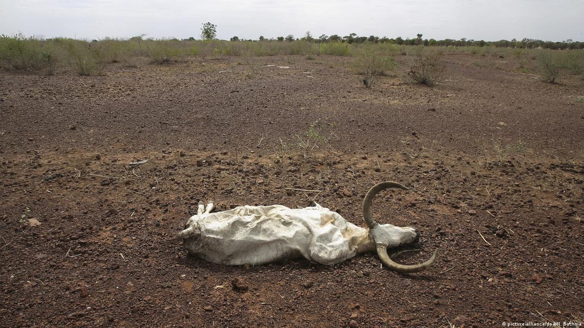 Science can help UN action on land degradation – DW – 09/03/2019