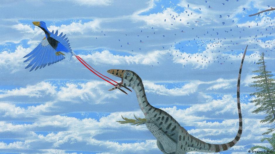 World experiencing 'mass extinction event' – DW – 07/11/2017