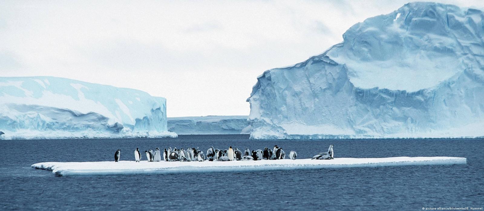 Arctic Ice Melting Myth