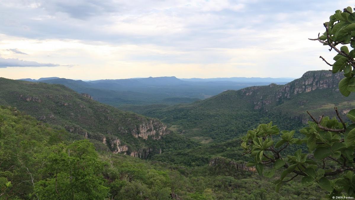 Secrets of the Cerrado – DW – 01/10/2017