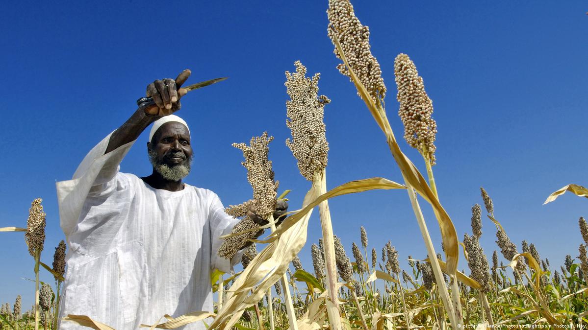 Resistance to genetically modified seeds in Africa – DW – 07/19/2018