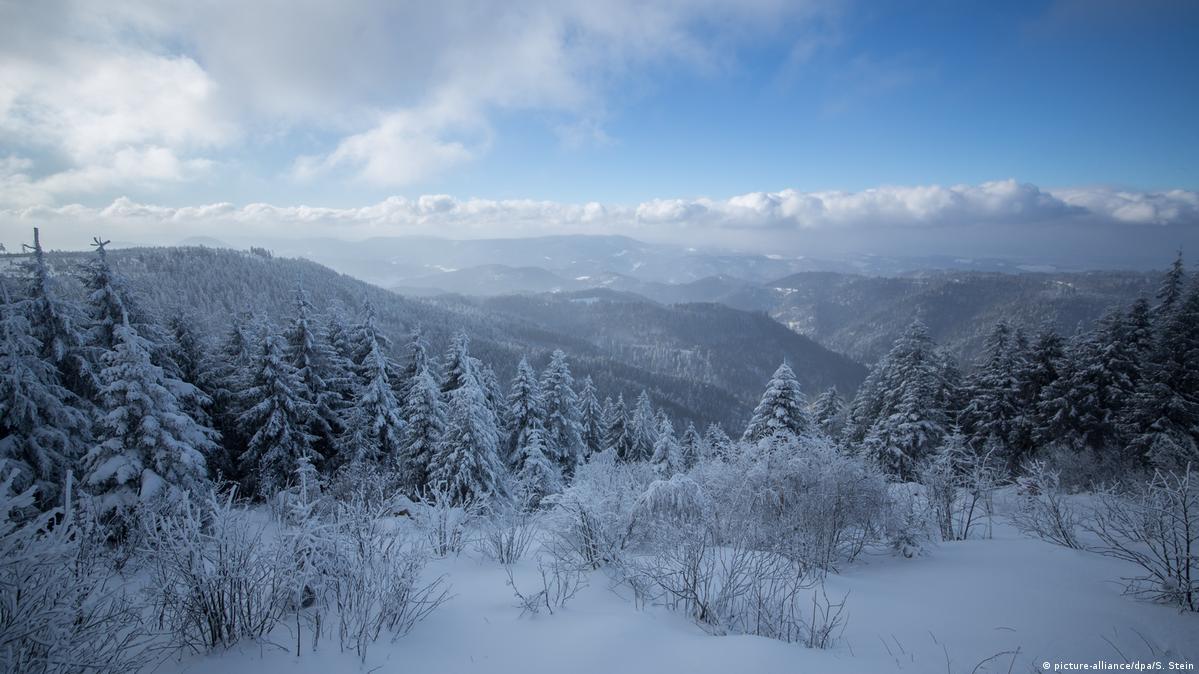 Highlights in the Black Forest