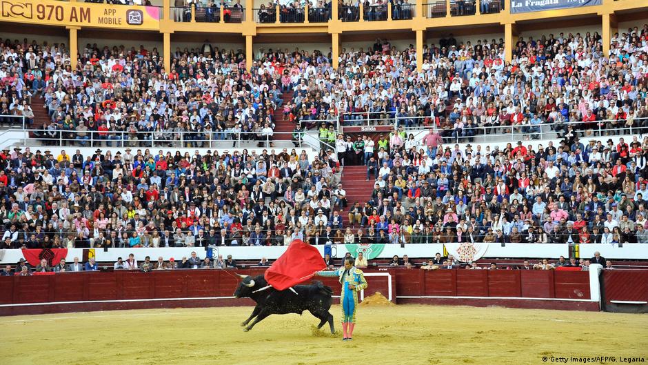 Fighting Bullfights – DW – 01/26/2017