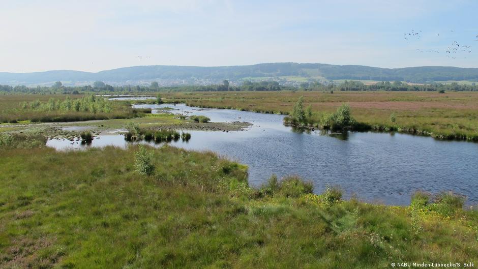 Peatlands: Crucial but forgotten