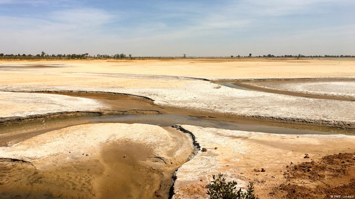 Salt water threat to Senegal wetlands