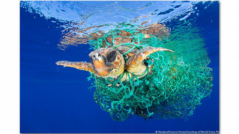 Deep sea plastic pollution in the spotlight – DW – 02/14/2017