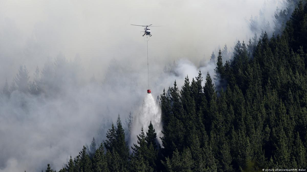 New Zealand wildfire threatens Christchurch – DW – 02/15/2017