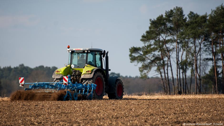 German agriculture through African eyes – DW – 10/23/2017