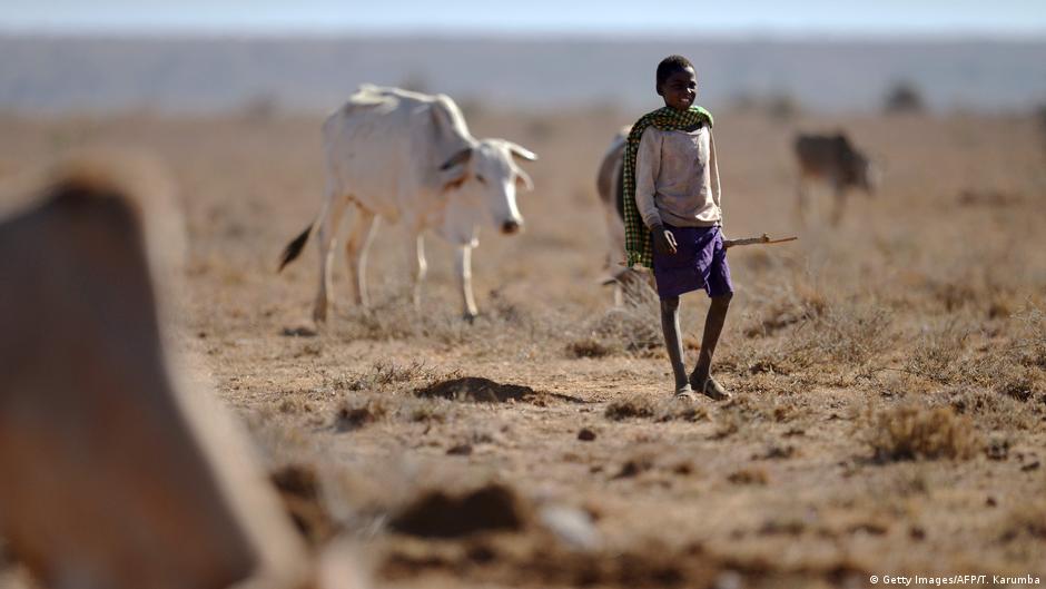 Millions of Kenyans face hunger – DW – 10/06/2021