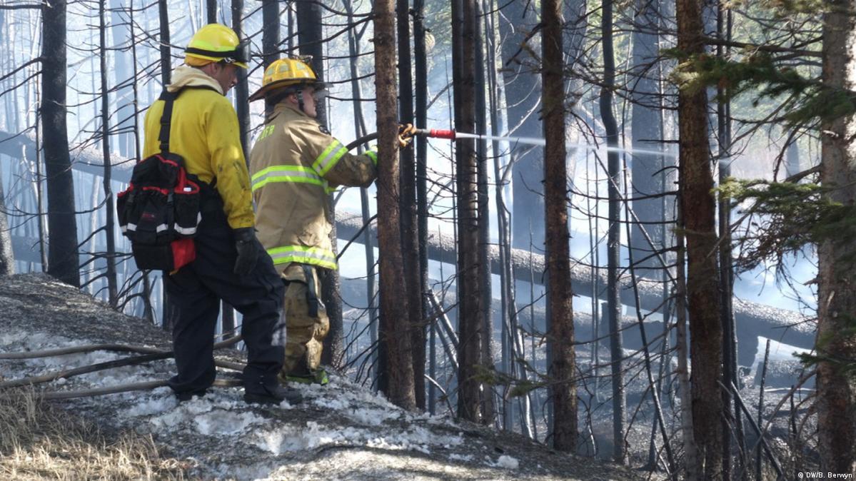 Climate change ups alpine wildfire risks – DW – 03/02/2017