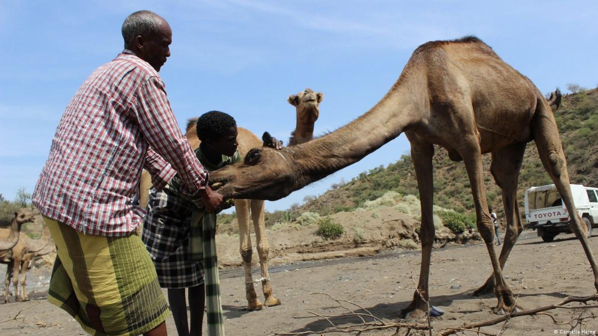 Saving a nomadic way of life