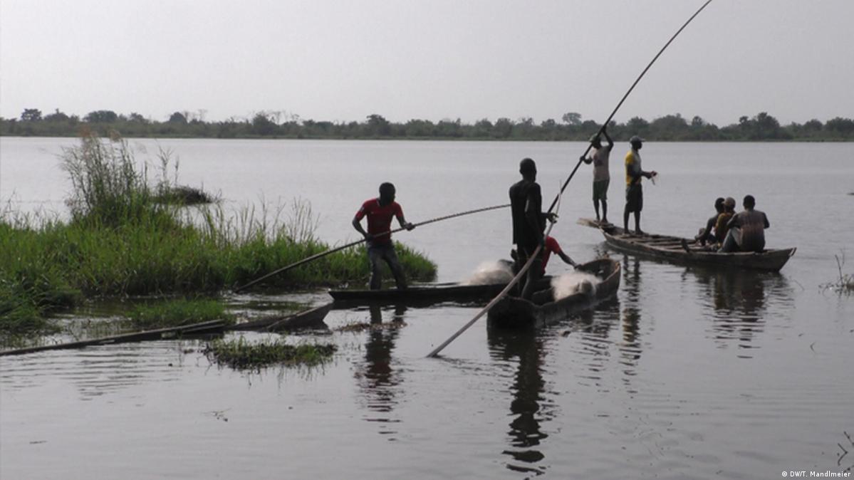 Togo's fish and hippos – DW – 04/04/2017