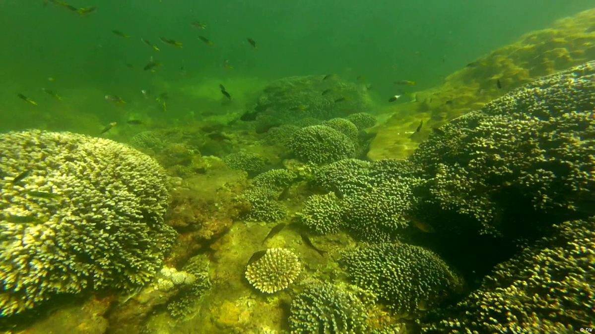 Protecting Kenya's fish stocks