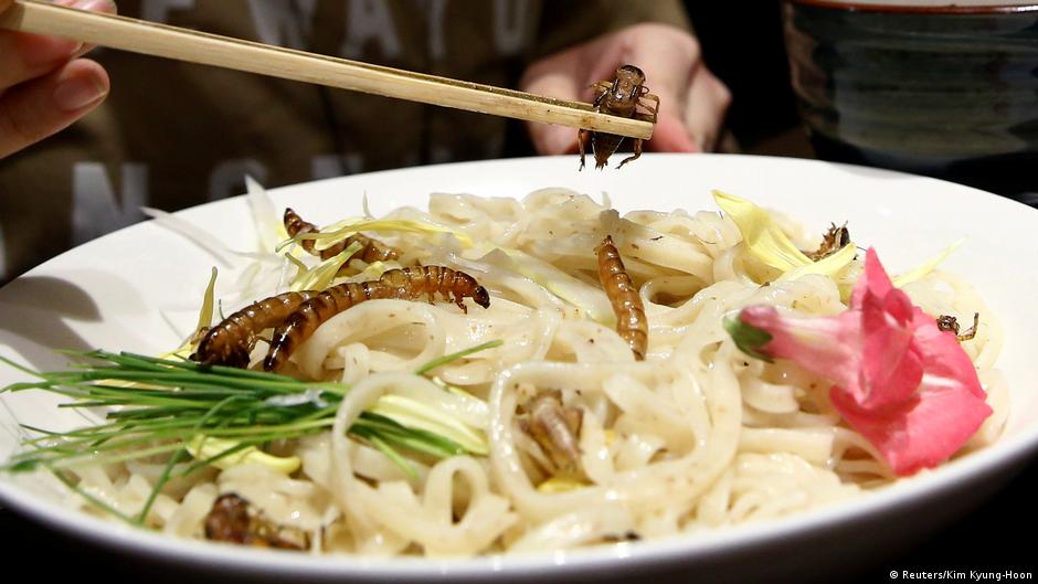 Insects on the menu – DW – 08/24/2017