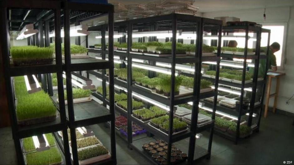 High-rise greenhouse – DW – 04/25/2017