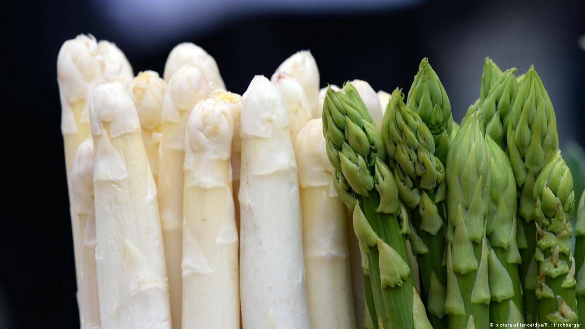 Germany's love affair with asparagus, the 'vegetable of kings' – DW ...