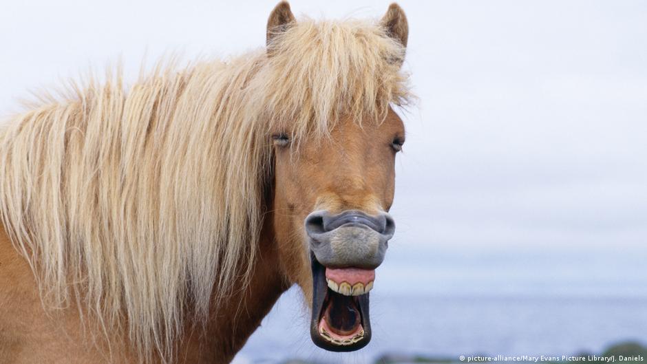 9 reasons to smile on World Smile Day – DW – 10/06/2017