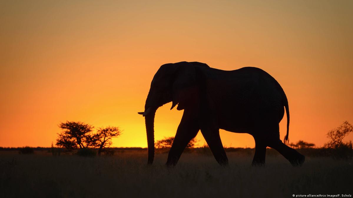 Anthropocene apocalypse? – DW – 07/14/2017