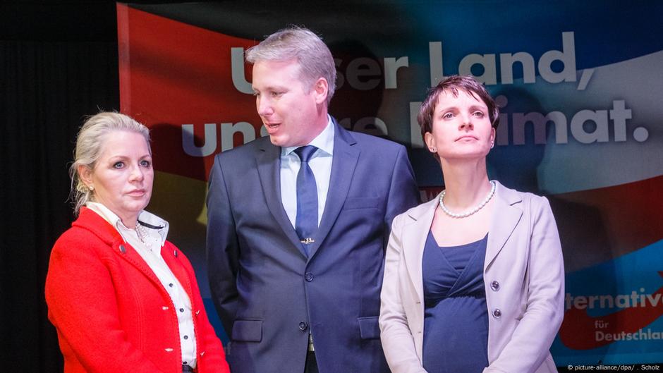 Keine Durchschlagskraft Die Afd In Schleswig Holstein Dw 06 05 2017