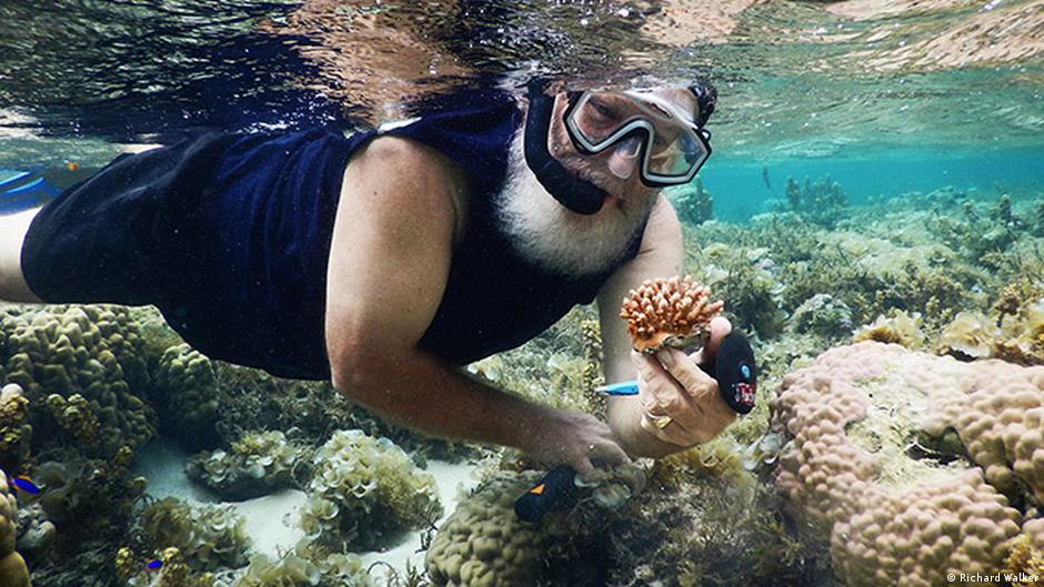 Coral reefs in hot water – DW – 05/10/2017