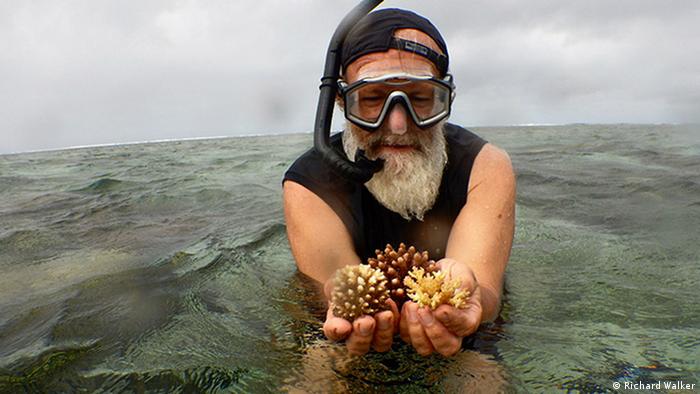 Coral reefs in hot water | Global Ideas | DW | 10.05.2017