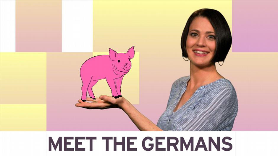 Best German animal expressions | Meet the Germans