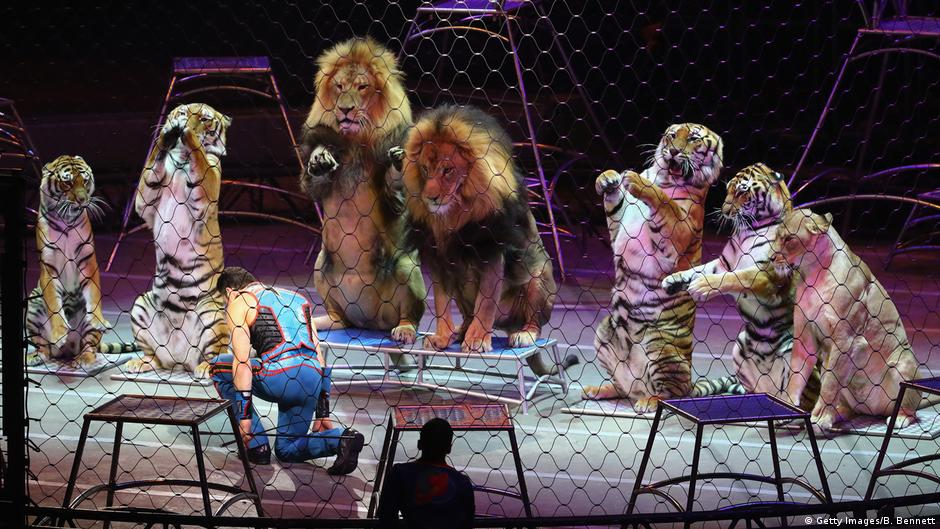 Ringling Bros Circus.: The show won't go on – DW – 05/22/2017
