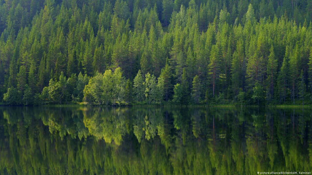 Финландия преживява невиждани жеги – DW – 7.07.2021