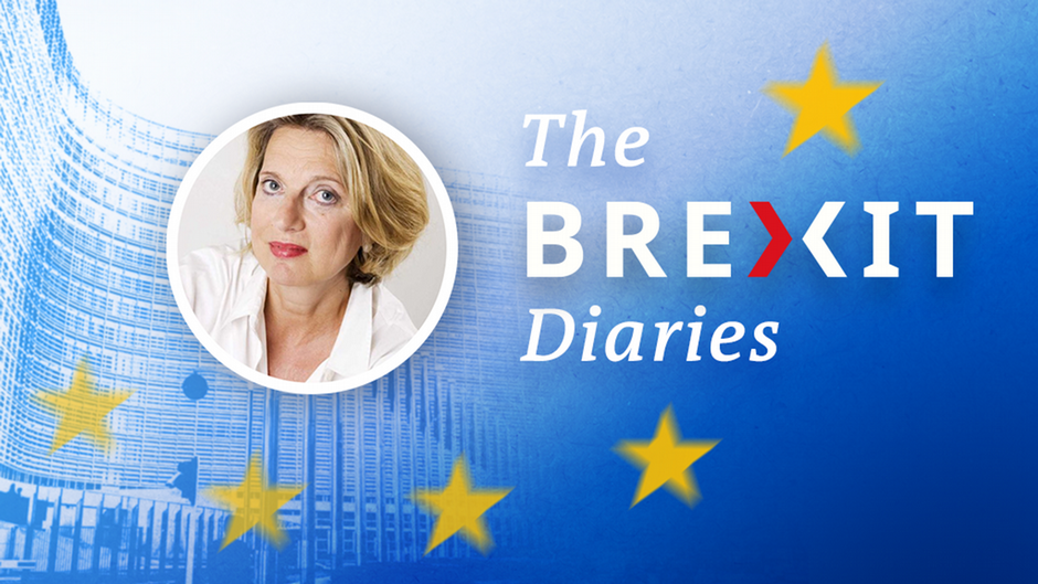 Brexit Diaries 24: An elephant in the room – DW – 01/15/2018