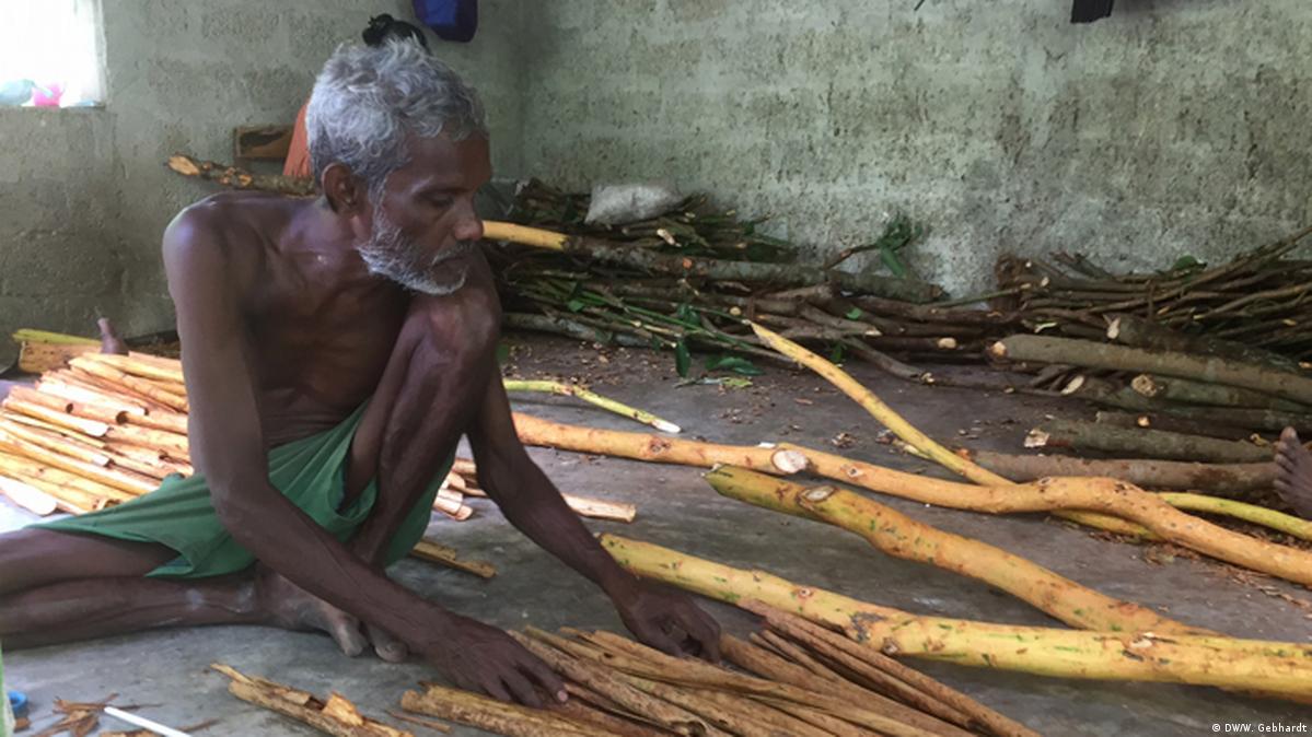 Enfriando con madera de canelo – DW – 04/07/2017