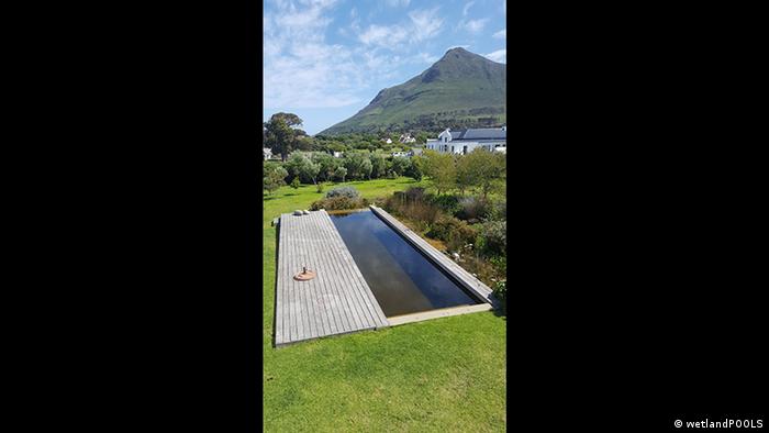 Transforming pools into eco wonderlands | All media content | DW | 06. ...