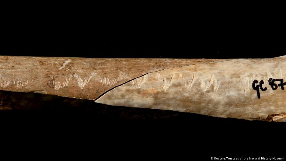 Human bones reveal prehistoric cannibal rituals – DW – 08/10/2017