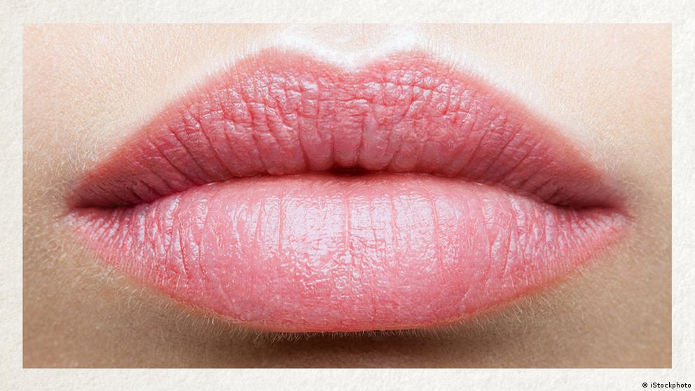 Vocabulary | Von Kopf bis Fuß | DW Learn German