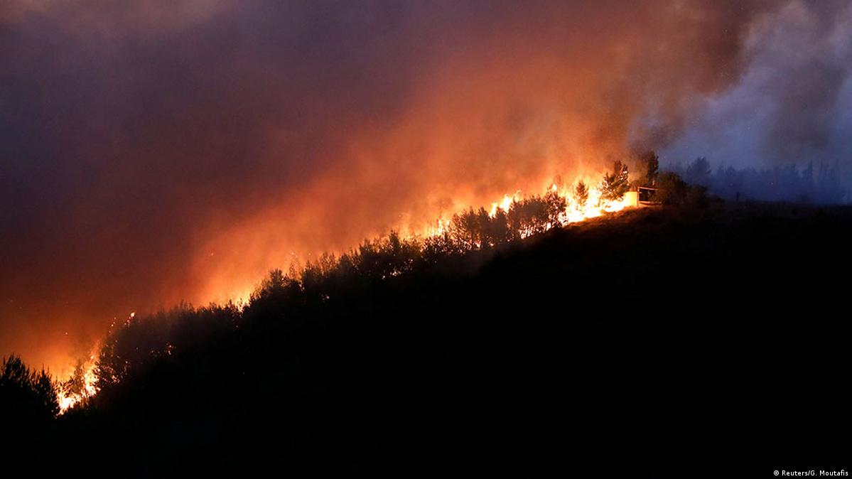 Fires caused record forest loss in 2016