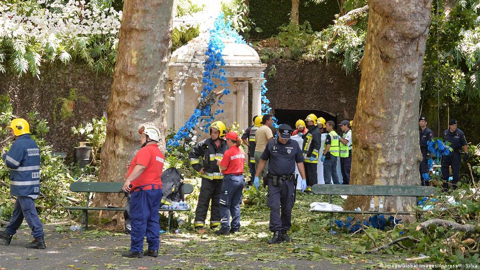 Several people killed by fallen tree in Madeira – DW – 08/15/2017