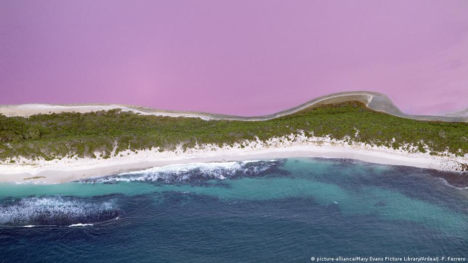 Rose-colored waters – DW – 08/28/2017