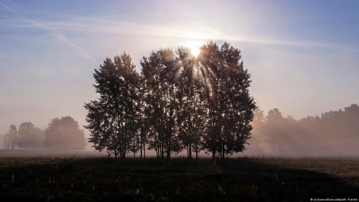 10 beautiful places to visit in Germany during autumn – DW – 10/27/2022