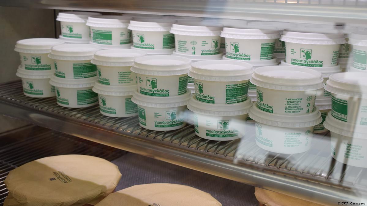 Greeks reclaim their yogurt
